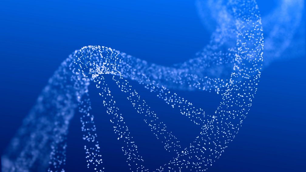 BBC News - Tech Now - Available now