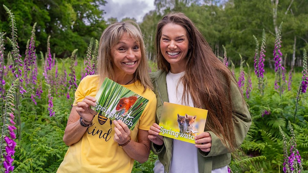 BBC Two - Springwatch - Available now