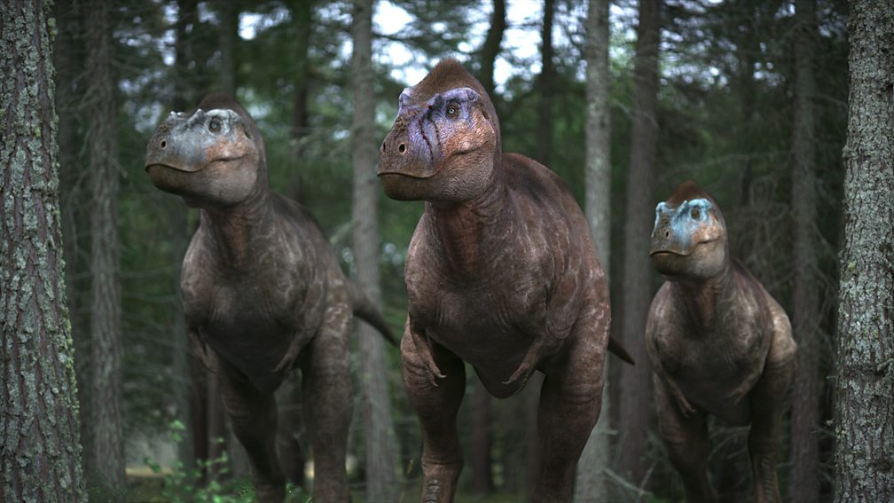 BBC One - Walking With Dinosaurs - Dino guide: Creating Albertosaurus