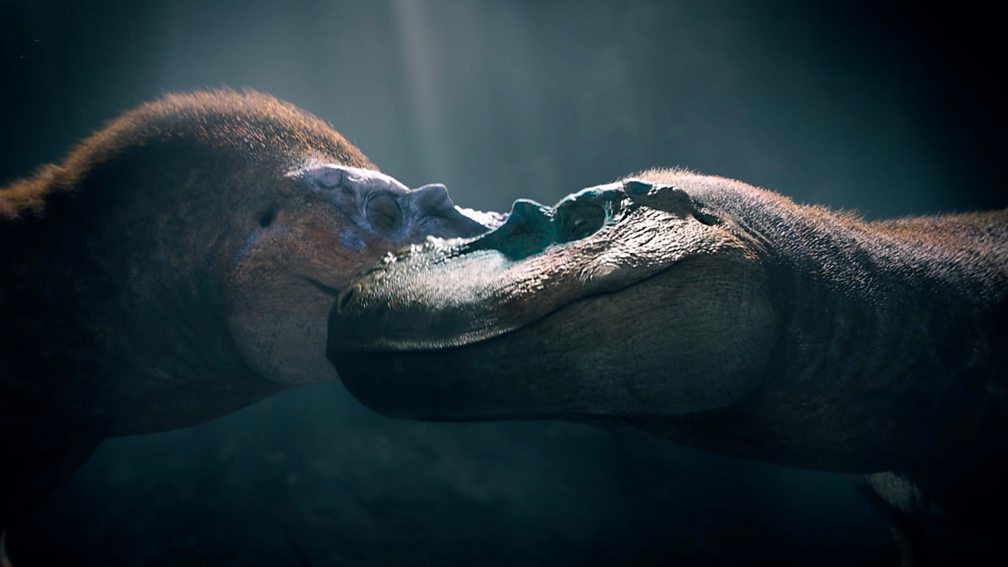 BBC One - Walking With Dinosaurs