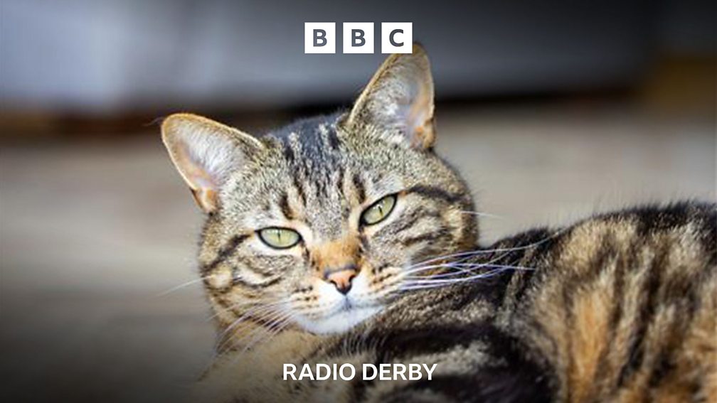 BBC Radio Derby - BBC Radio Derby, East Midlands Mayor welcomes ...