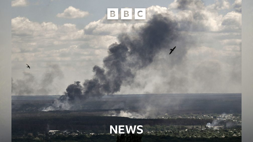 BBC World Service - Newsday, Pangolins - the world's most wanted animal