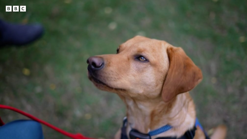 BBC One - Midlands Today, Evening News