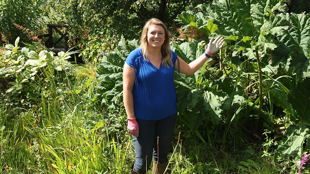 BBC Scotland - Beechgrove Garden, 2025 - Episode guide