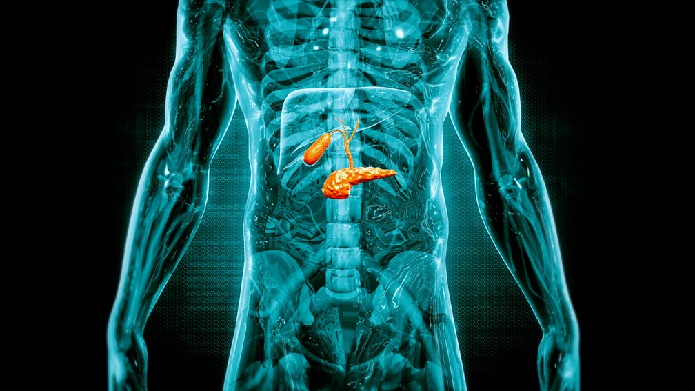 BBC News - Tech Now - Available now