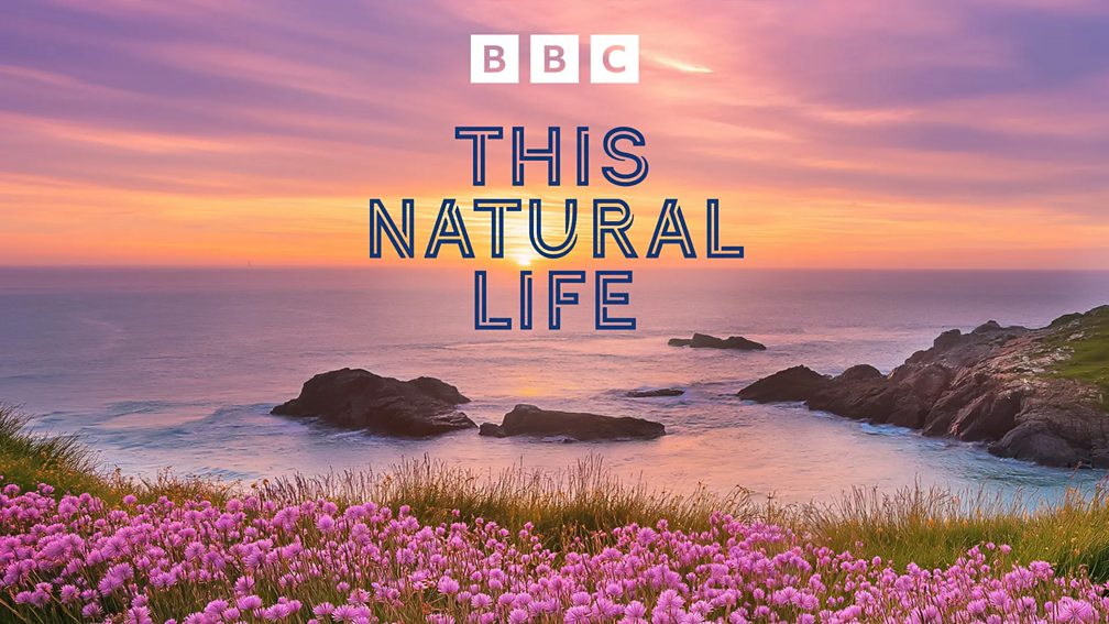 BBC - Wild About Nature