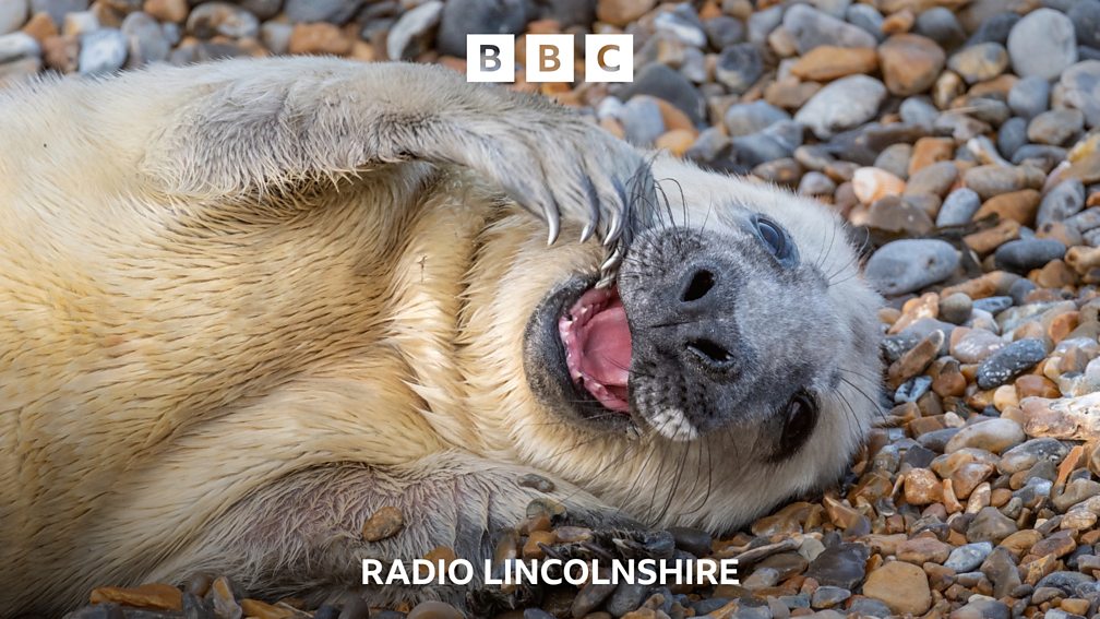 BBC Radio Lincolnshire - BBC Radio Lincolnshire, Revealed: The first ...