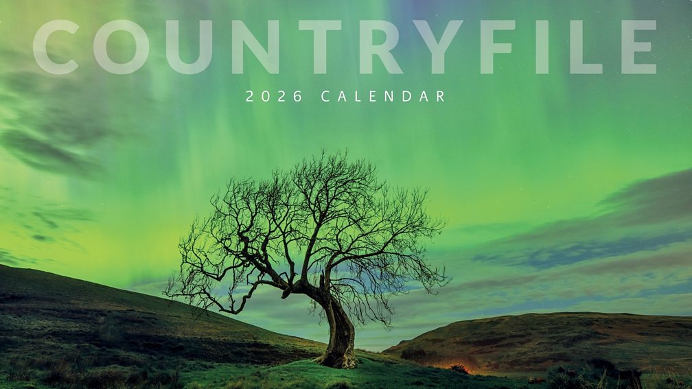 BBC One - Countryfile