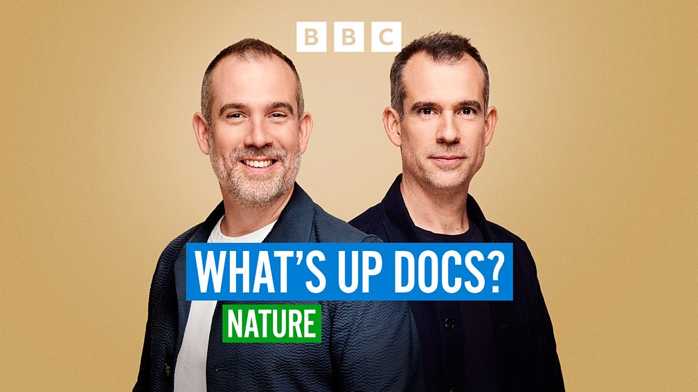 BBC - Wild About Nature