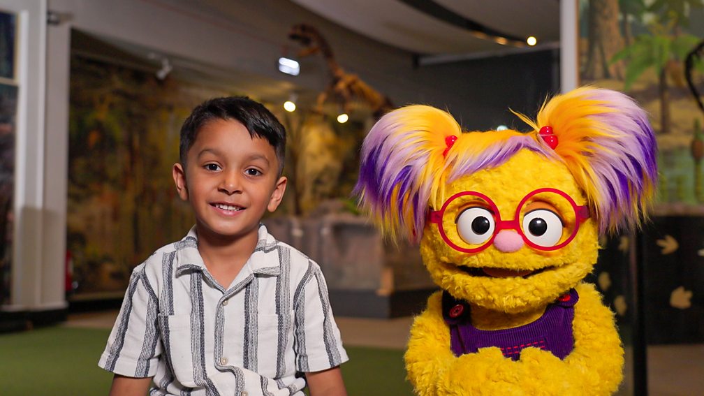 CBeebies - I Spy, You Spy - Available now