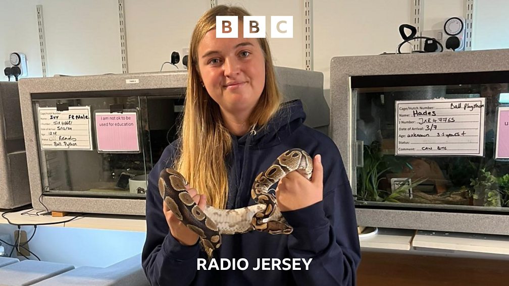 BBC Radio Jersey - Darcy Kelly on BBC Radio Jersey, "a cocktail of love ...