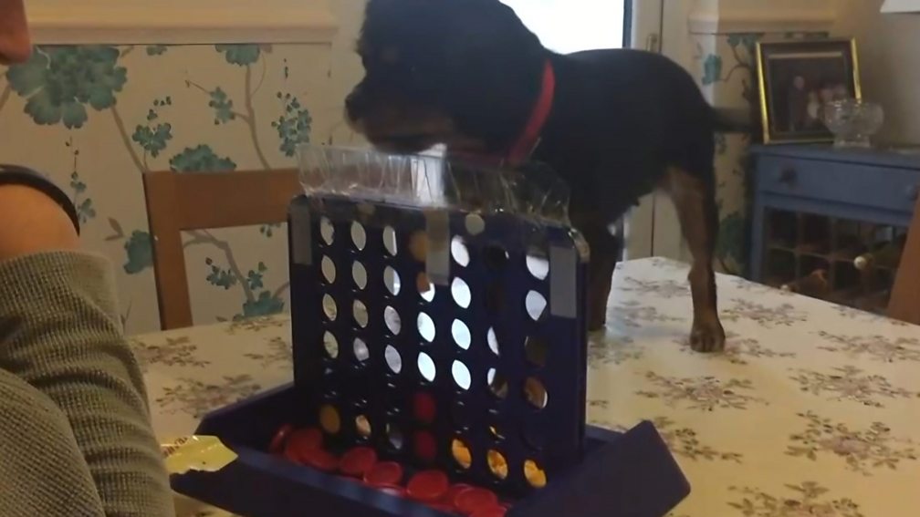 BBC Radio Cymru - Bore Cothi