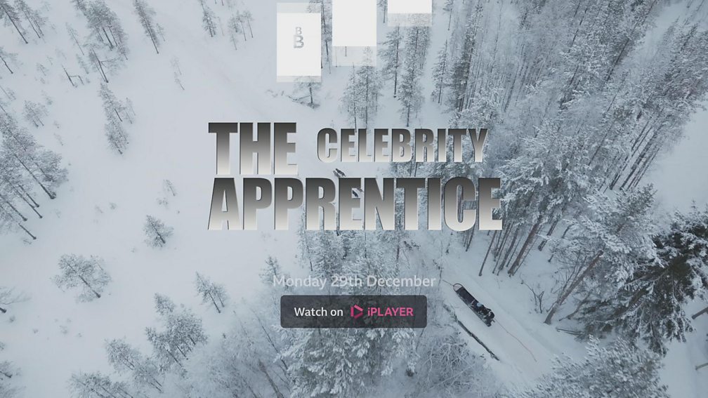 BBC One - The Celebrity Apprentice, Christmas 2025