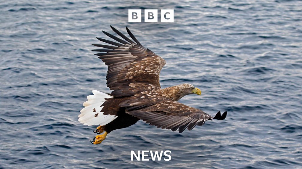 BBC Radio Wales - BBC Radio Wales, 'Huge' Roman villa found under Welsh ...