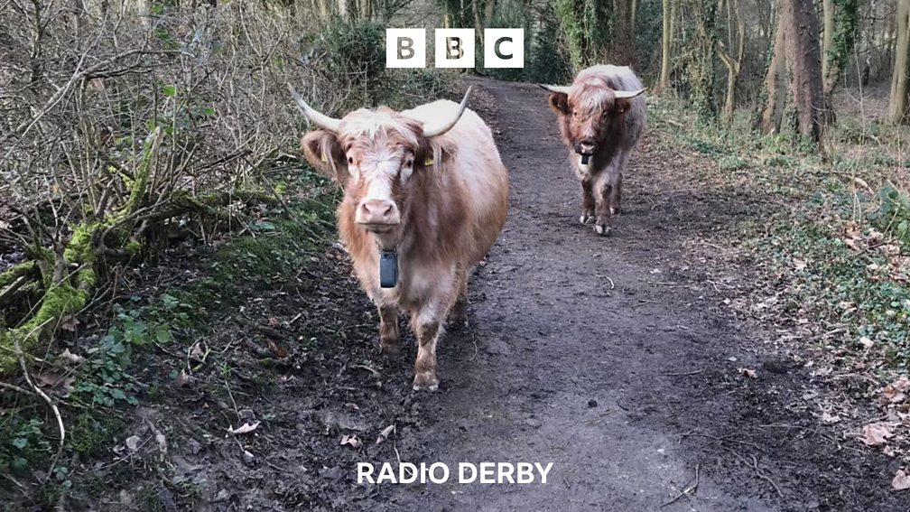 BBC Radio Derby - BBC Radio Derby, "Anybody who meets him just loves him"