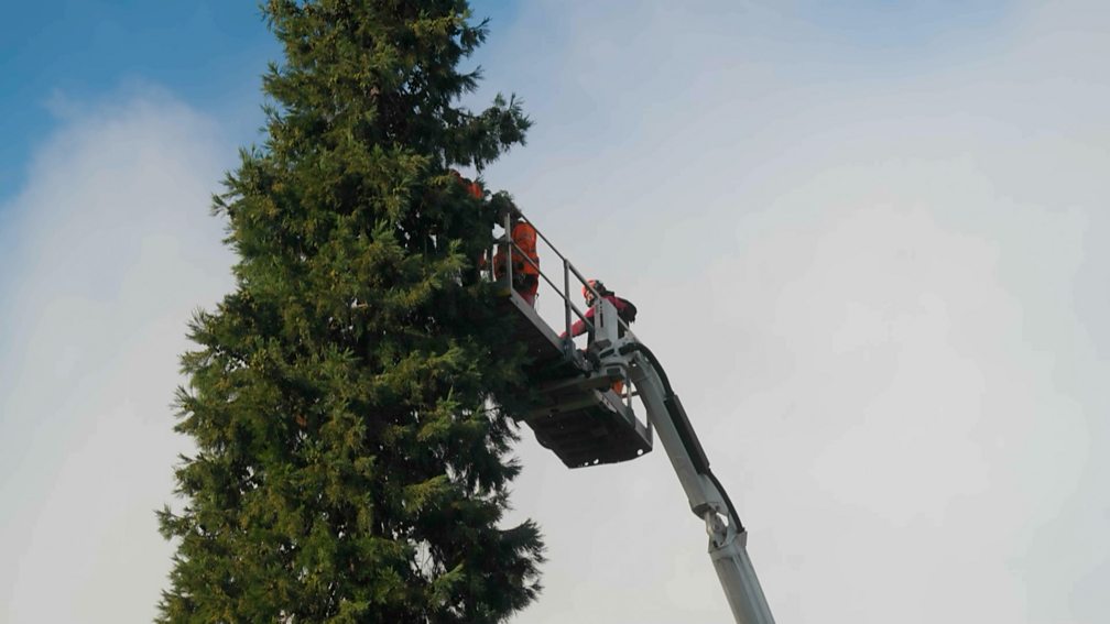 BBC Two - Hidden Treasures of the National Trust, Christmas Treasures ...