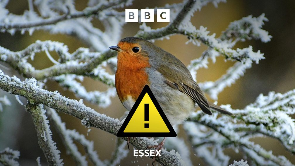 BBC Essex - BBC Essex, Colchester library shuts until 2025