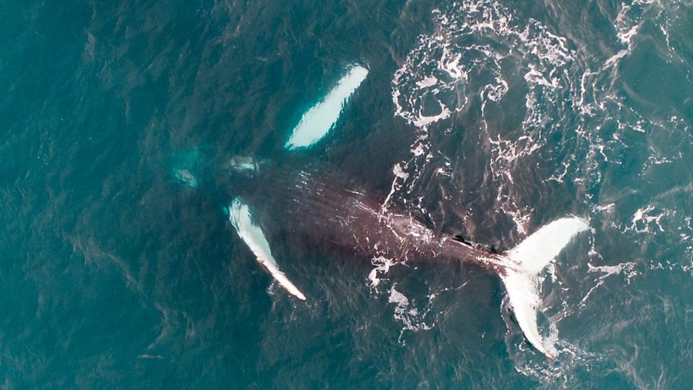 BBC Radio Cornwall - James Churchfield, 08/01/2026, Harry's art makes a ...