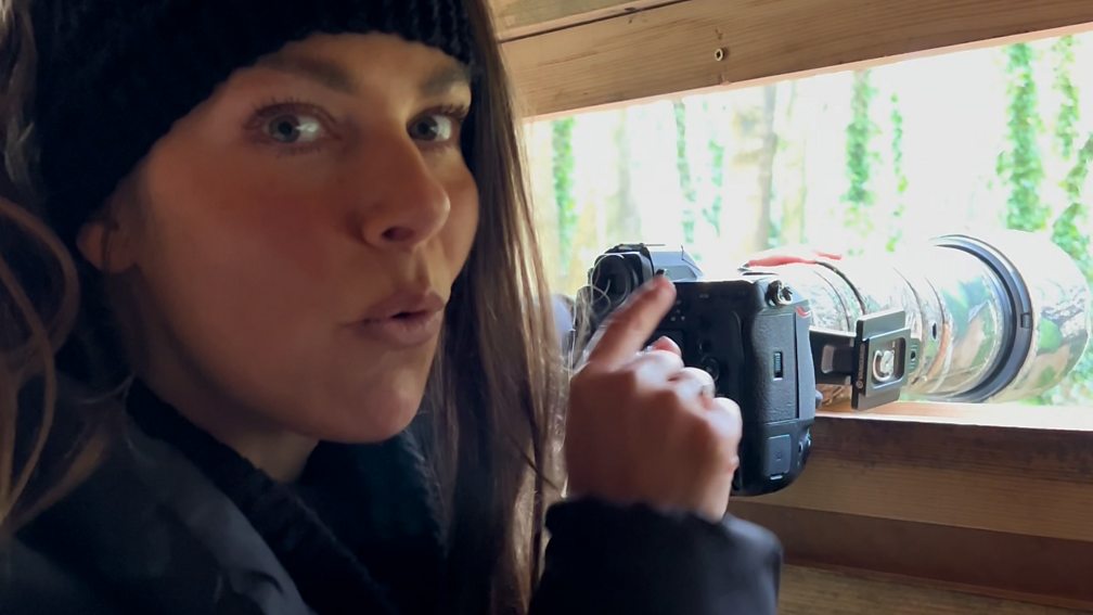 BBC Two - Winterwatch, A beaver sits down to eat in the midst of a fast ...