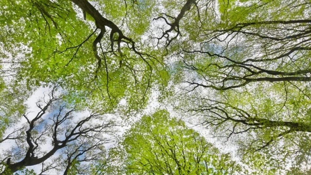 BBC Radio Cornwall - Julie Skentelbery, 26/01/2026, The South West’s ...