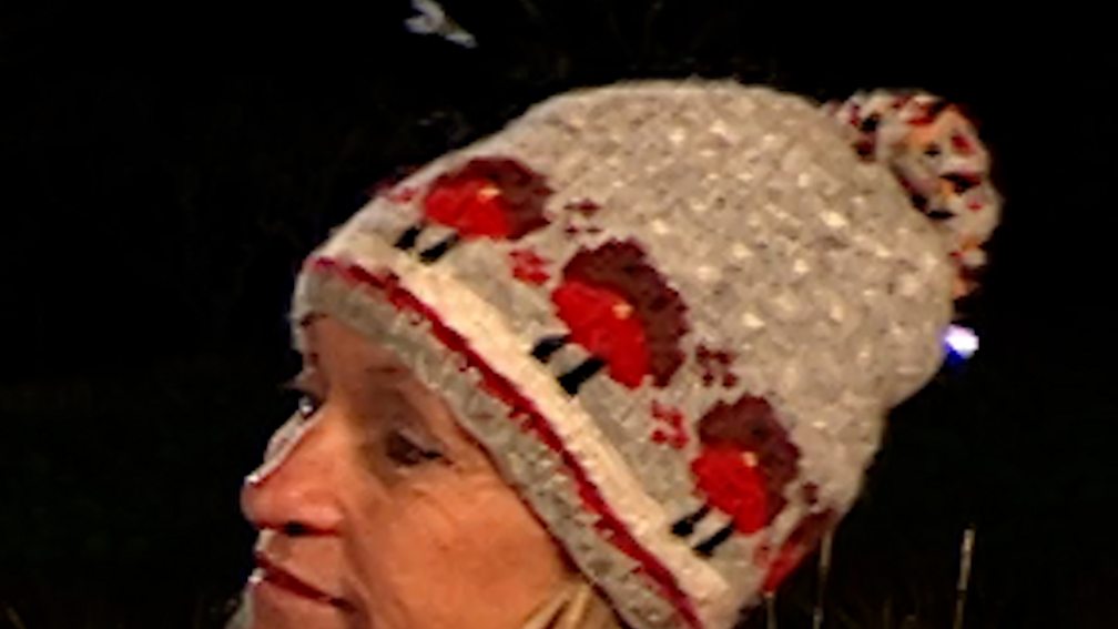 BBC Two - Winterwatch, A beaver sits down to eat in the midst of a fast ...