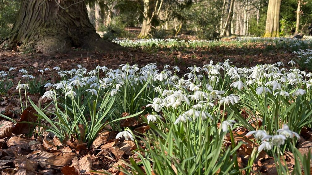 BBC Radio Cambridgeshire - Thordis Fridriksson on BBC Radio ...
