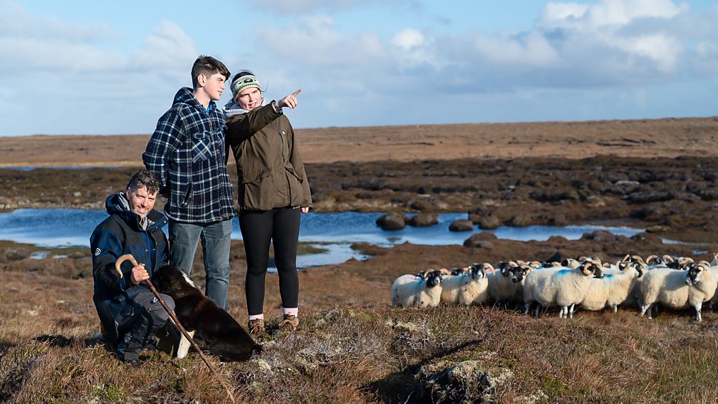 BBC Two - This Farming Life