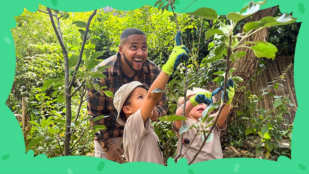 CBeebies - I Can Grow It, Spring - Available now