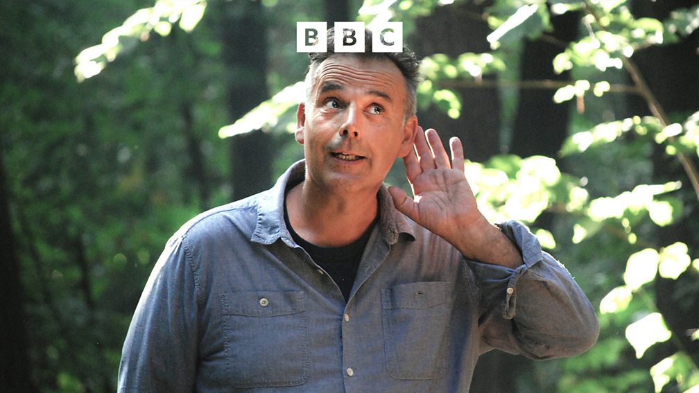 BBC Radio 4 - Rob Newman - Available now