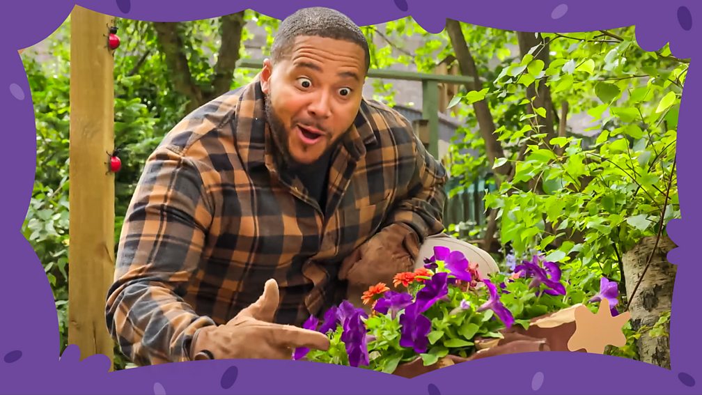 CBeebies - I Can Grow It - Episode guide