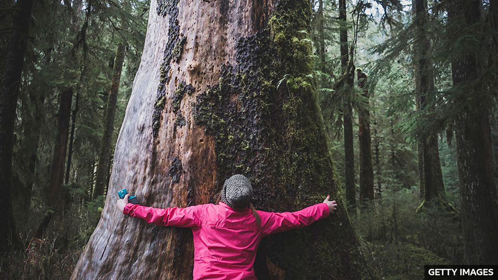 BBC - BBC Learning English, BBC Lingohack “英语大破解”："Earthrise": The ...