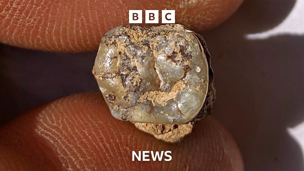 BBC Radio 4 - From Our Own Correspondent, Following an unpredictable ...