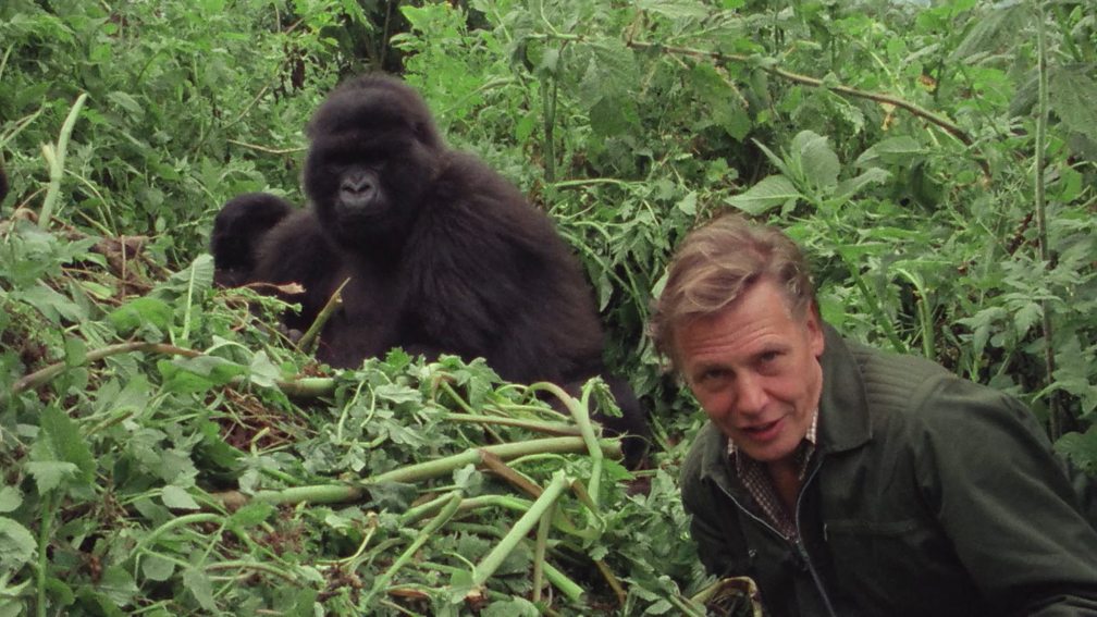 BBC One - Making Life on Earth: Attenborough's Greatest Adventure