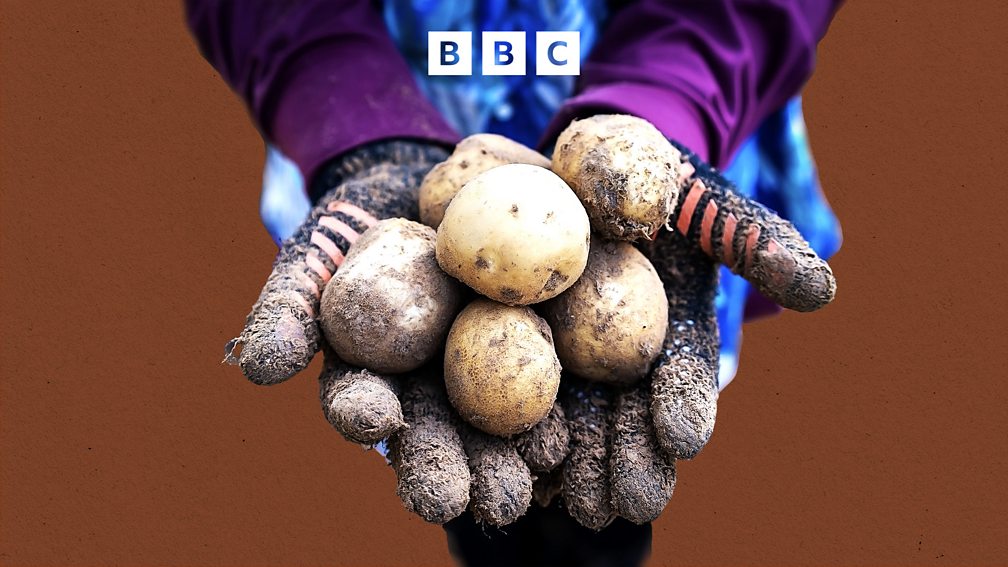 BBC World Service Online - Schedules, Sunday 10 May 2026