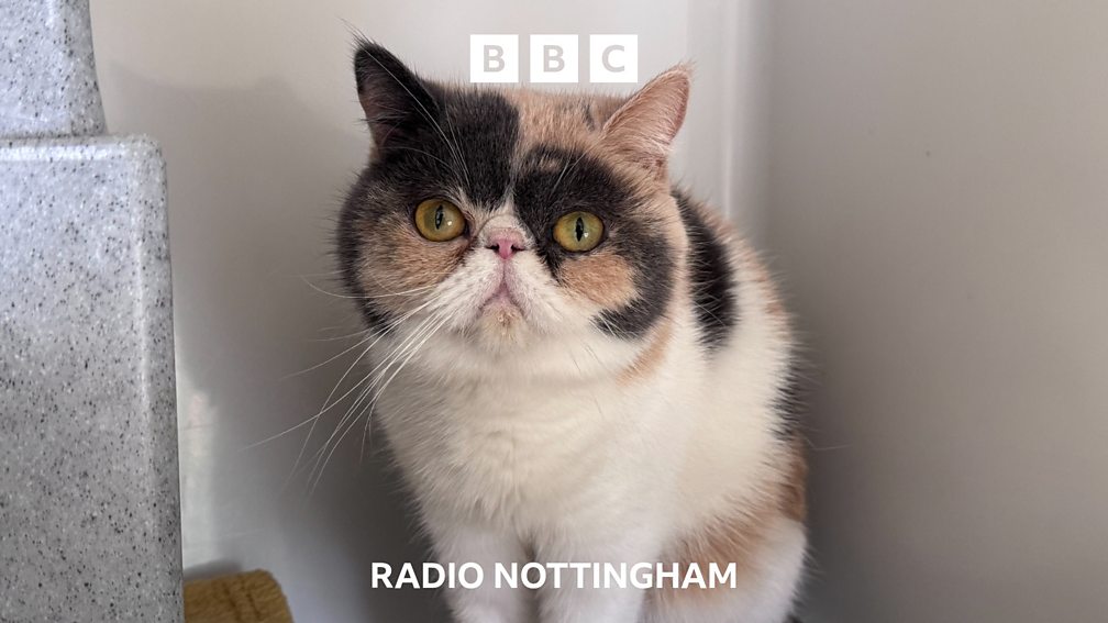 BBC Radio Nottingham - BBC Radio Nottingham, Heading to Download ...