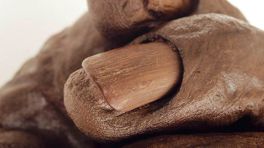 BBC Four - 4,000-Year-Old Cold Case: The Body in the Bog, 4,000 -Year ...