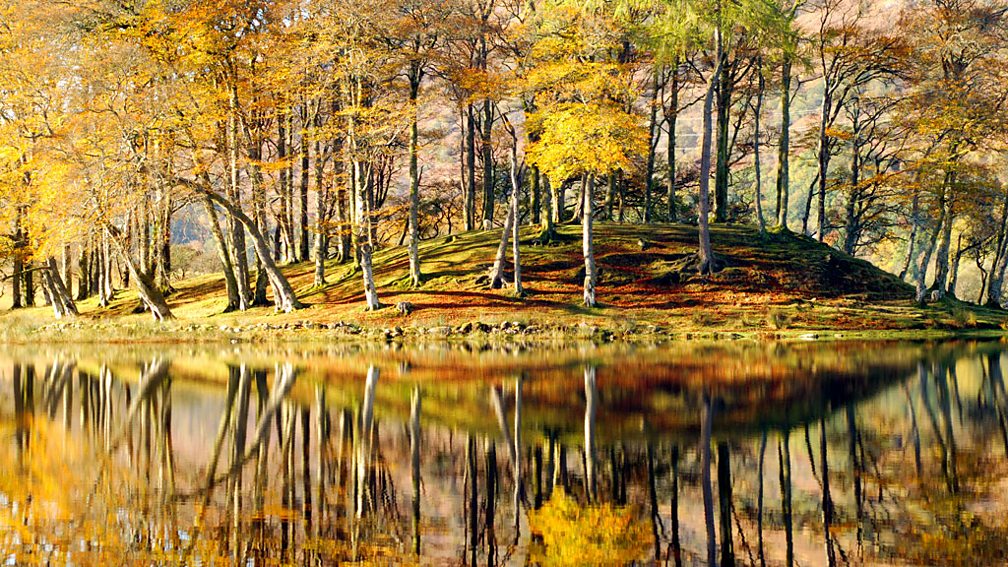 BBC Radio 4 - The Life Scientific, Colin Blakemore