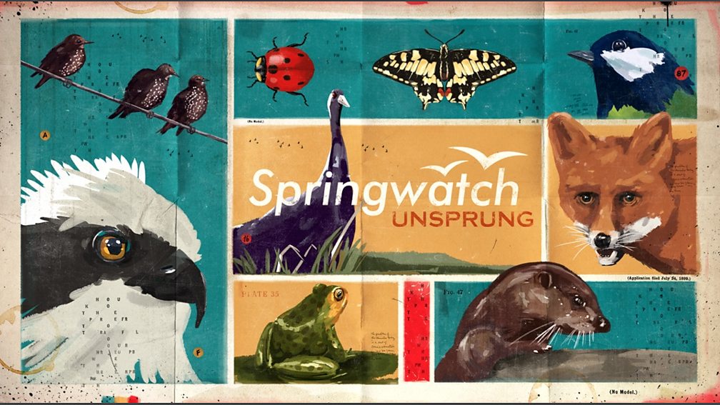 BBC Two - Springwatch, 2015, Microplastics