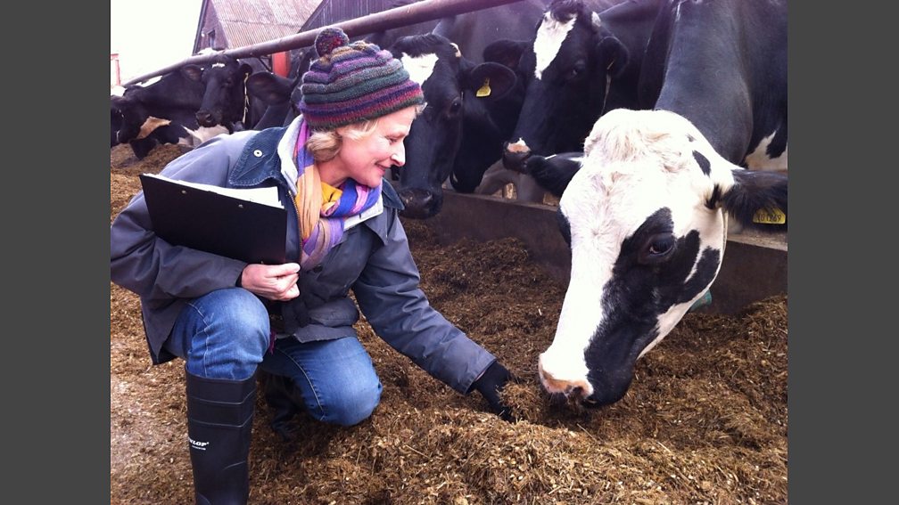 BBC Radio 4 - Farming Today, Farming Today spends a week on a dairy ...