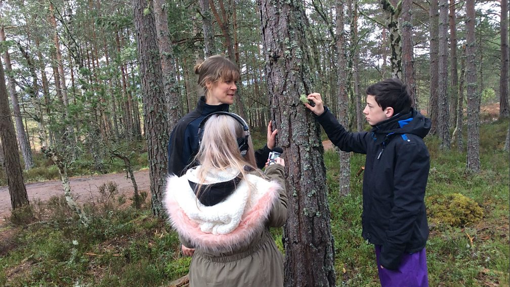 BBC Scotland - The L.A.B Scotland, Springwatch at Abernethy Primary School