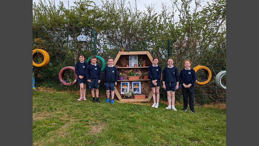BBC - Gardening for Schools, Woodlawn Primary School - Carrickfergus ...