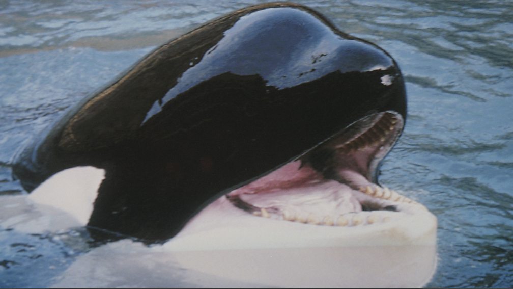 BBC World Service - Witness History, The Soviet scientist who made two ...