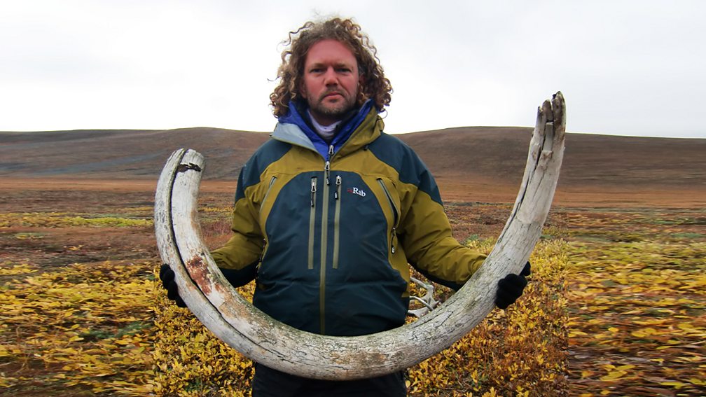 BBC Two - Ice Age Giants - The hunt for pygmy mammoths