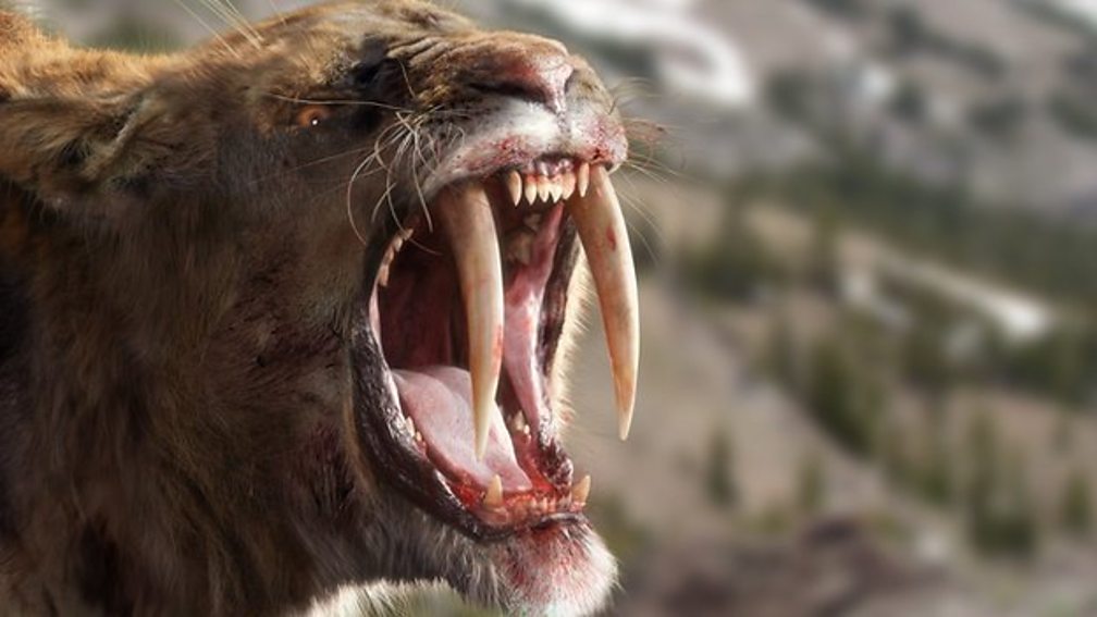Bbc Two Ice Age Giants Frozen In Time For 40 000 Years