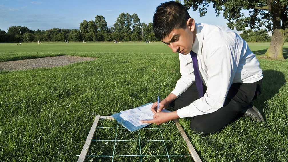 Using Sampling Techniques Interdependency Between Animal And Plant using-sampling-techniques-interdependency-between-animal-and-plant