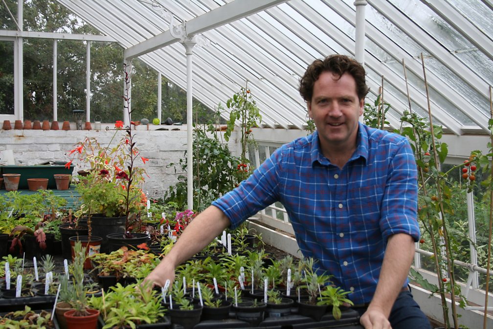 BBC Two - Great British Garden Revival, Series 1 - Diarmuid Gavin