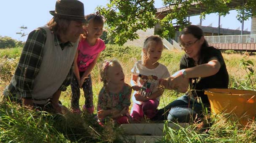 BBC Blogs - CBeebies Grown-ups - Mr Bloom: Here and There