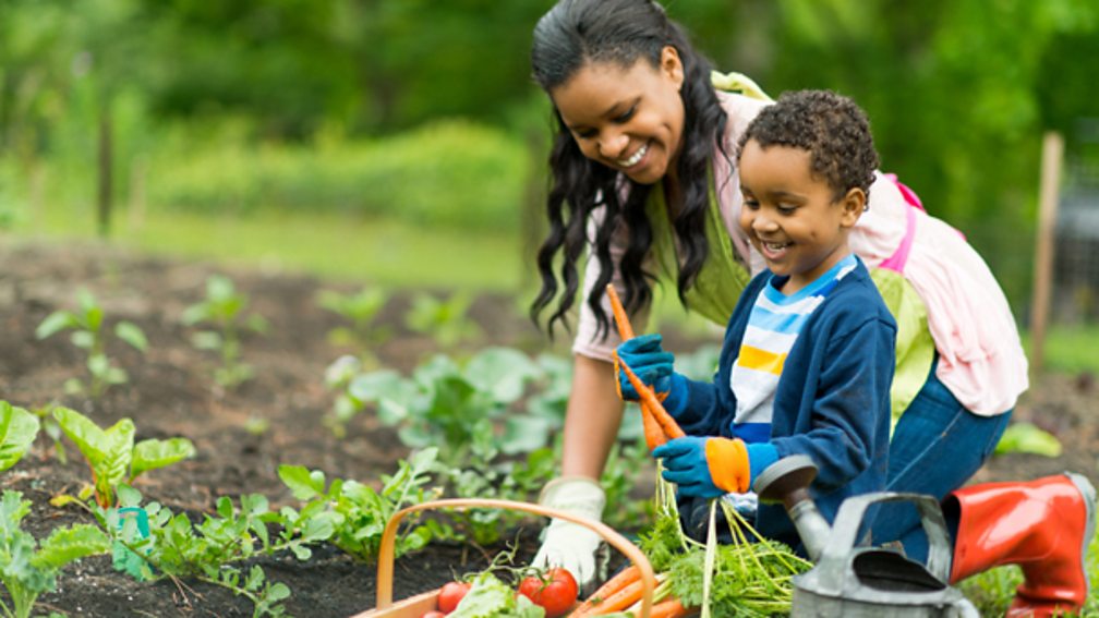 BBC Blogs - CBeebies Grown-ups - Get set, grow: ideas for gardening ...