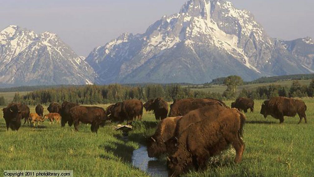 BBC Four - How the Wild West Was Won with Ray Mears