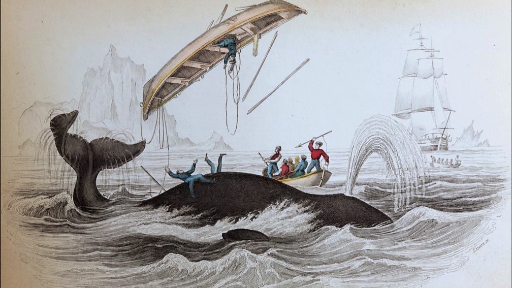 BBC Four - Britain's Whale Hunters: The Untold Story - A glimpse into ...